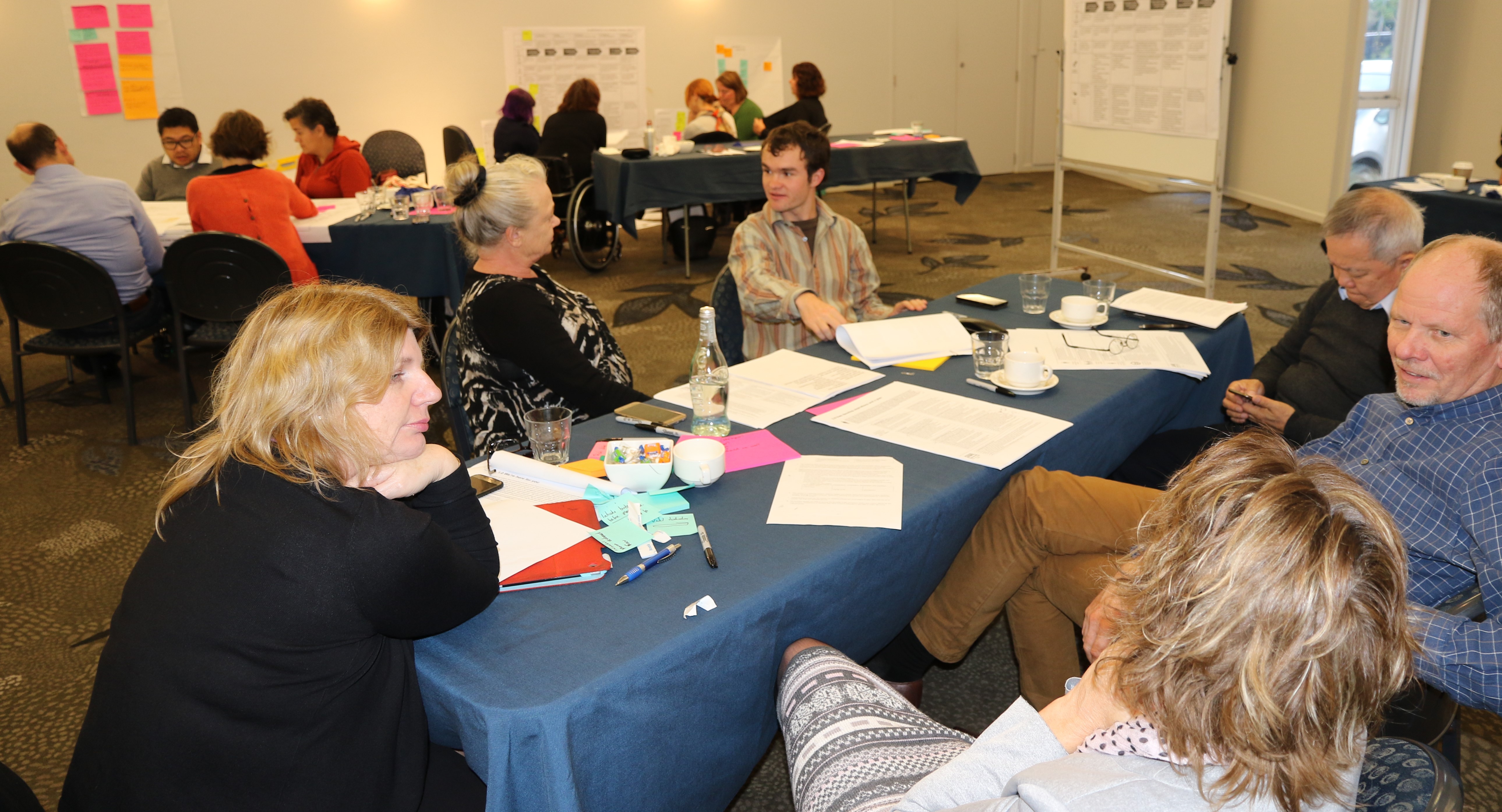 May 30/31 workshop - Enabling Good Lives